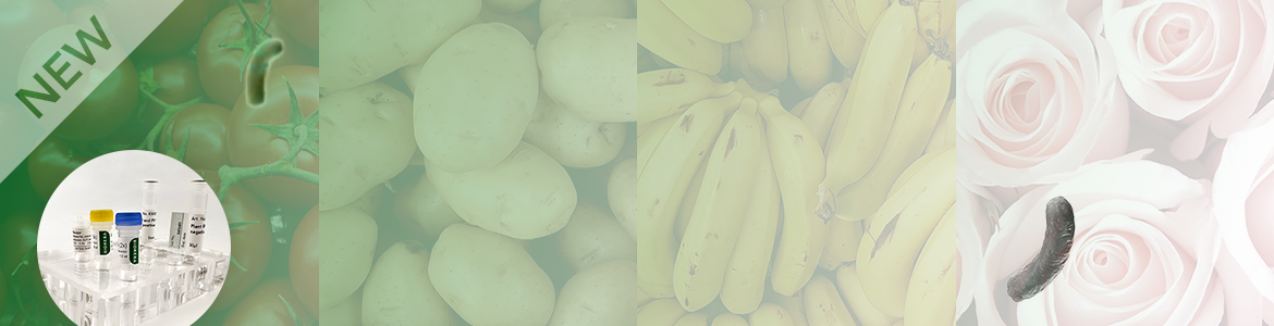 BIOREBA – Your Partner in Agro-Diagnostics